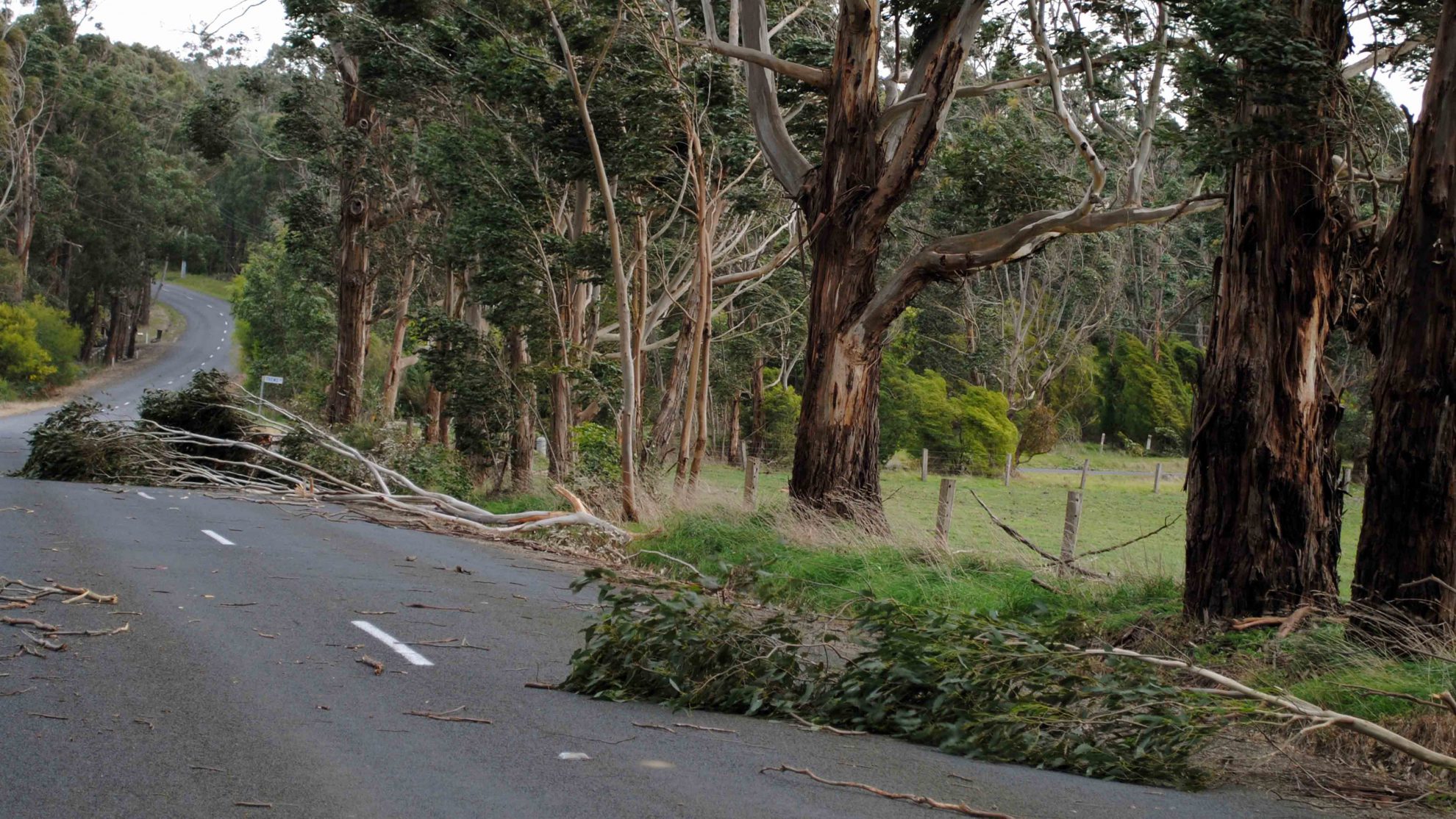 Preparing for risk of destructive winds | Latrobe Valley Express