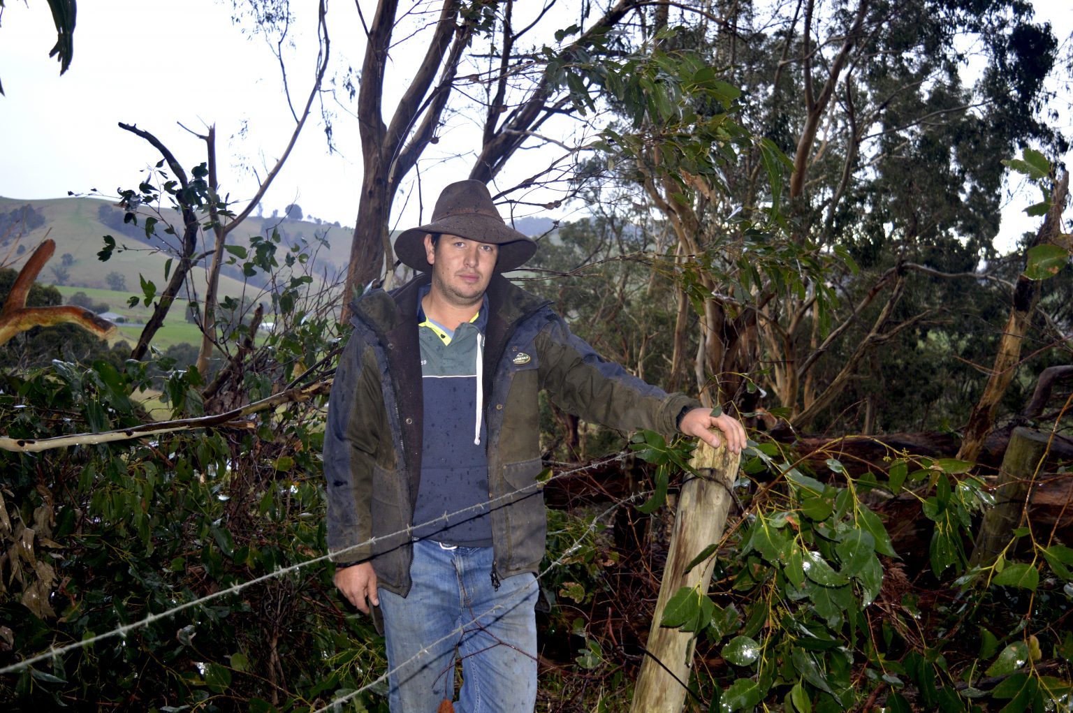 Mammoth job ahead | Latrobe Valley Express