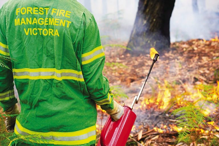 Planning burning works underway to reduce bushfire risk | Latrobe ...
