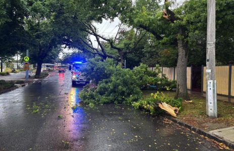 Flash flood sparks Latrobe Valley | Latrobe Valley Express