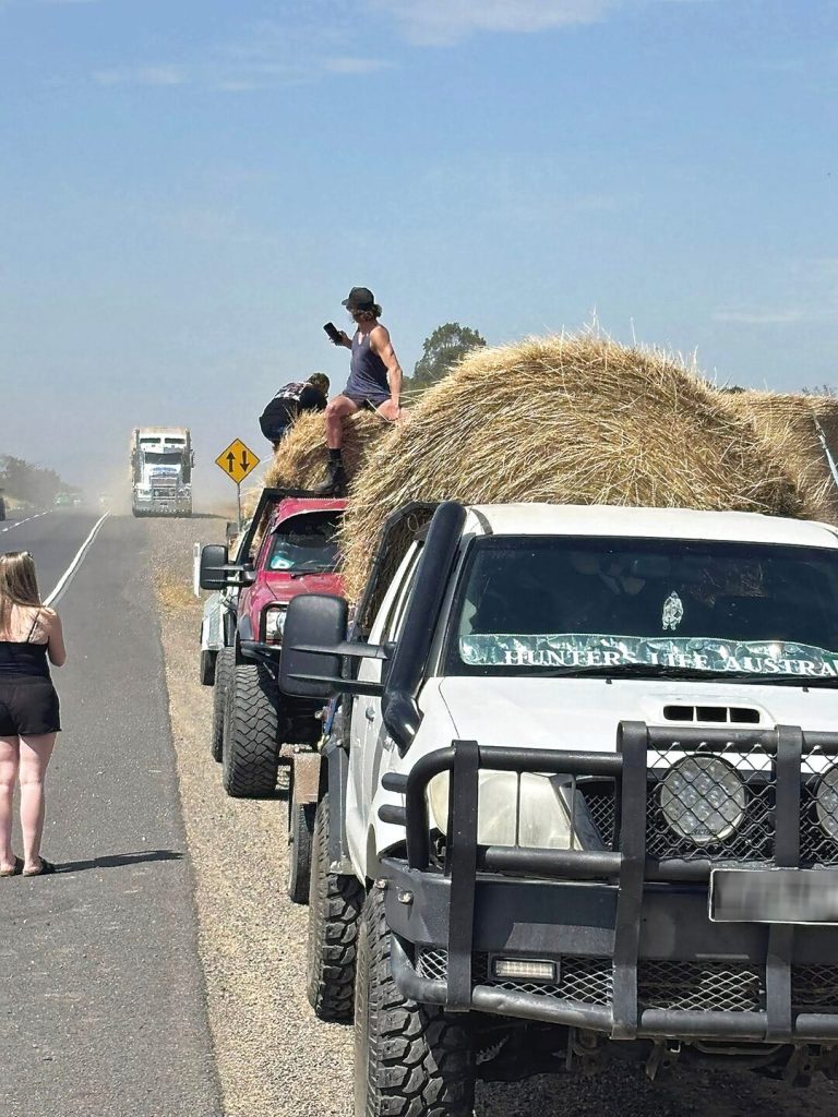 Lion-hearted hay run | Latrobe Valley Express
